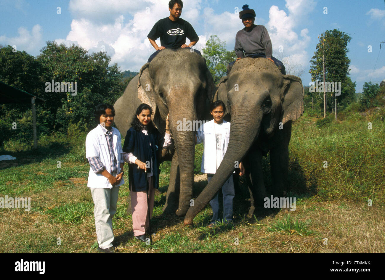 Elephant veterinarian hi-res stock photography and images - Alamy