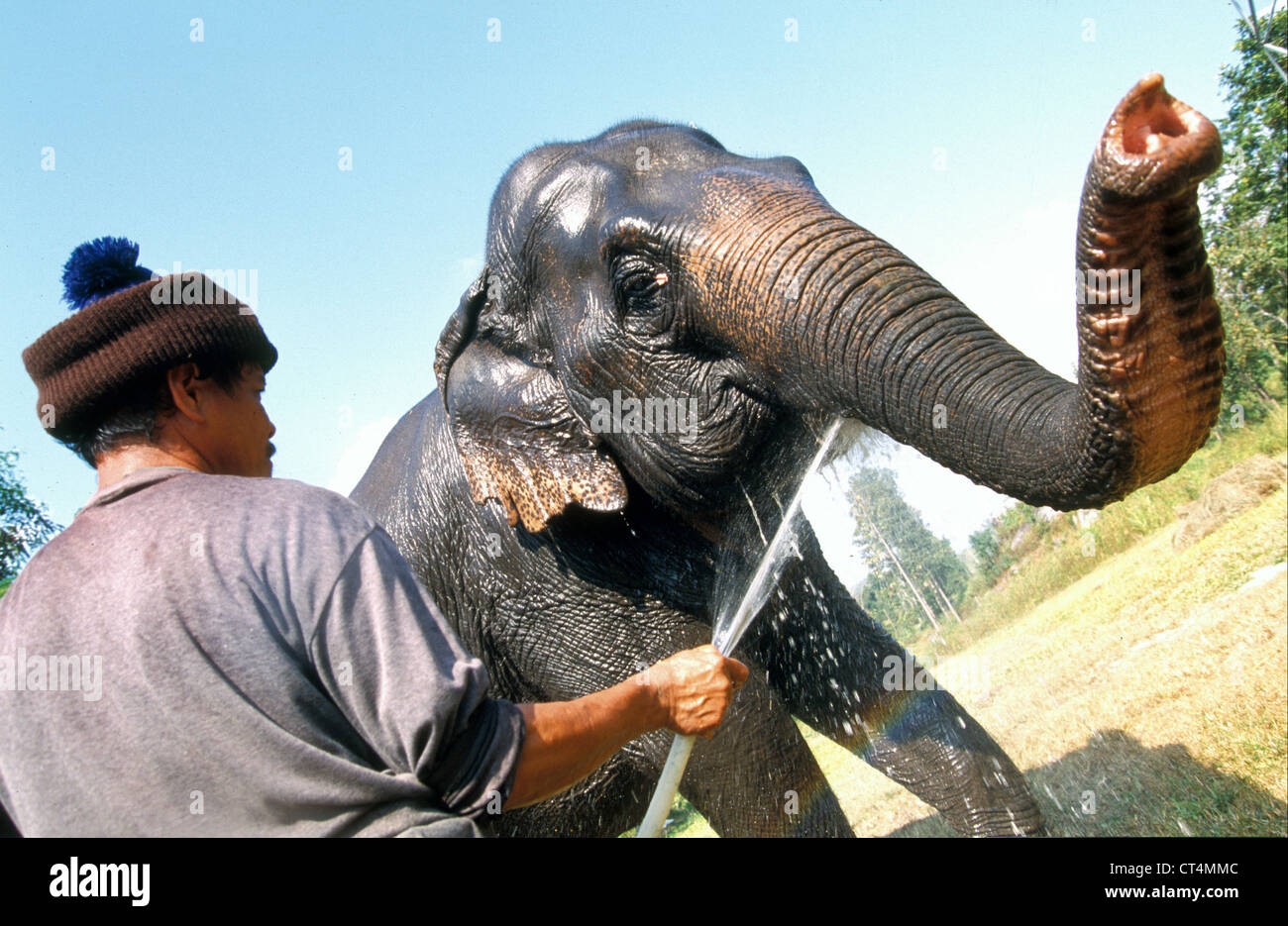Human and animal care hi-res stock photography and images - Alamy
