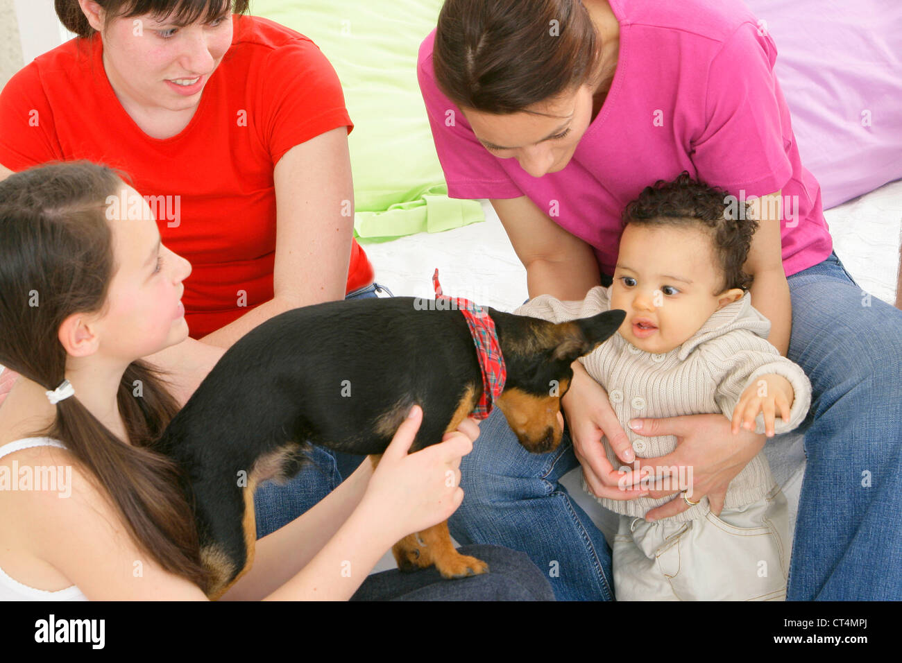 CHILD WITH ANIMAL Stock Photo - Alamy