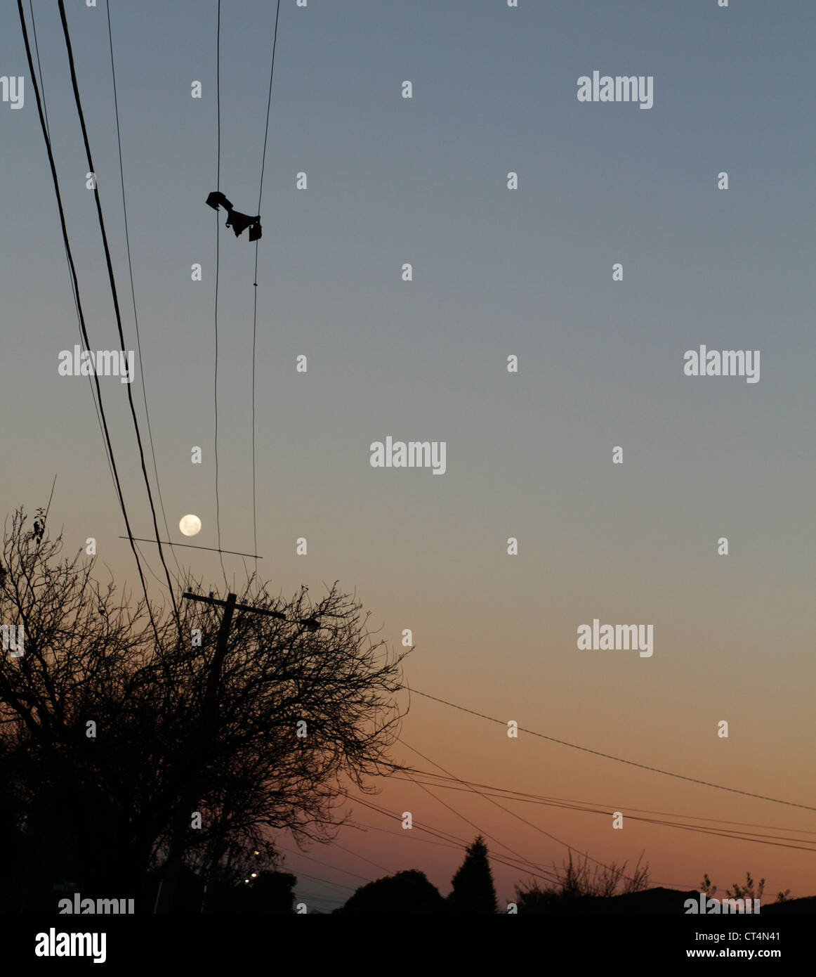 Power line electrocuted hi-res stock photography and images - Alamy