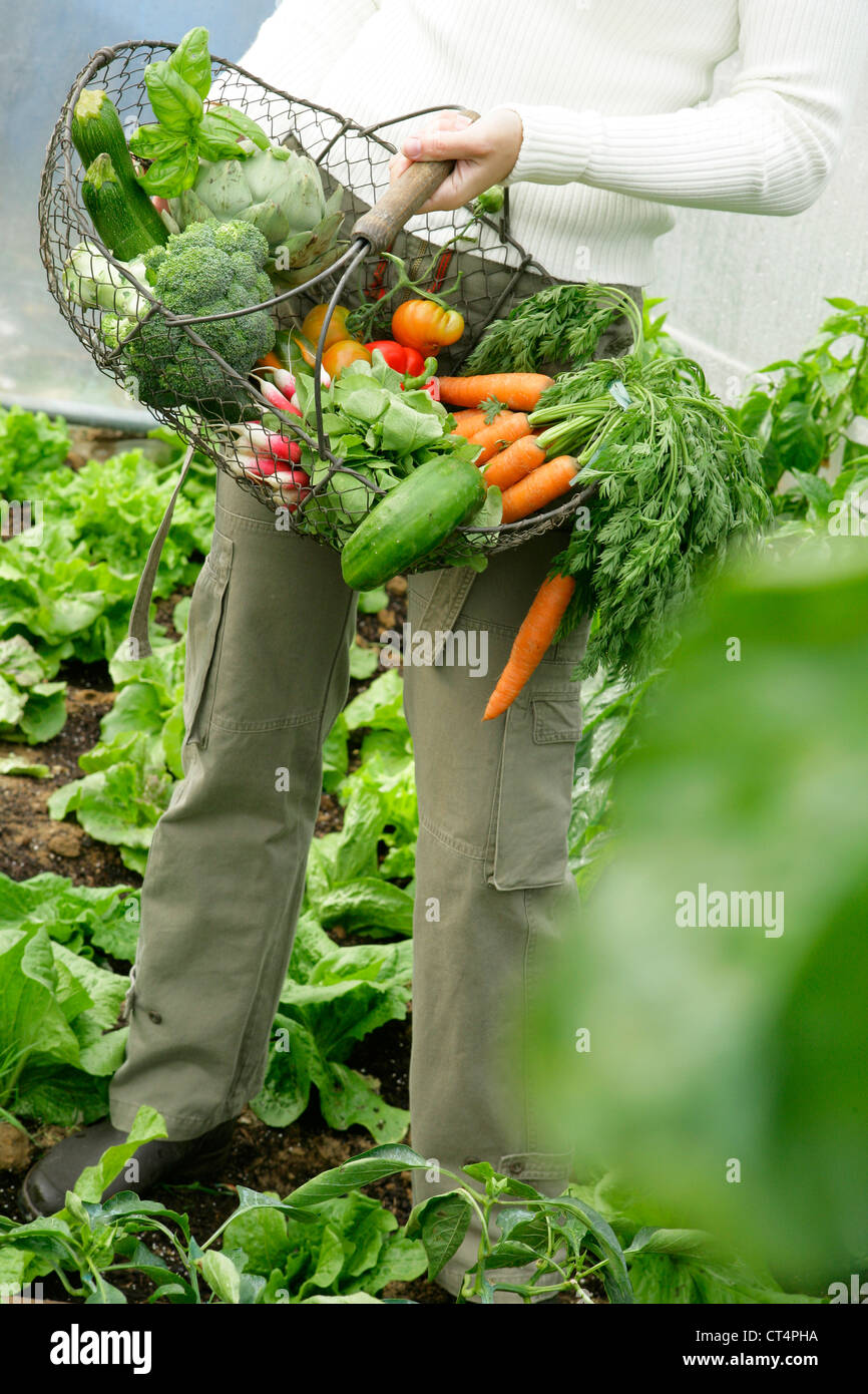 Woman reaping hi-res stock photography and images - Alamy