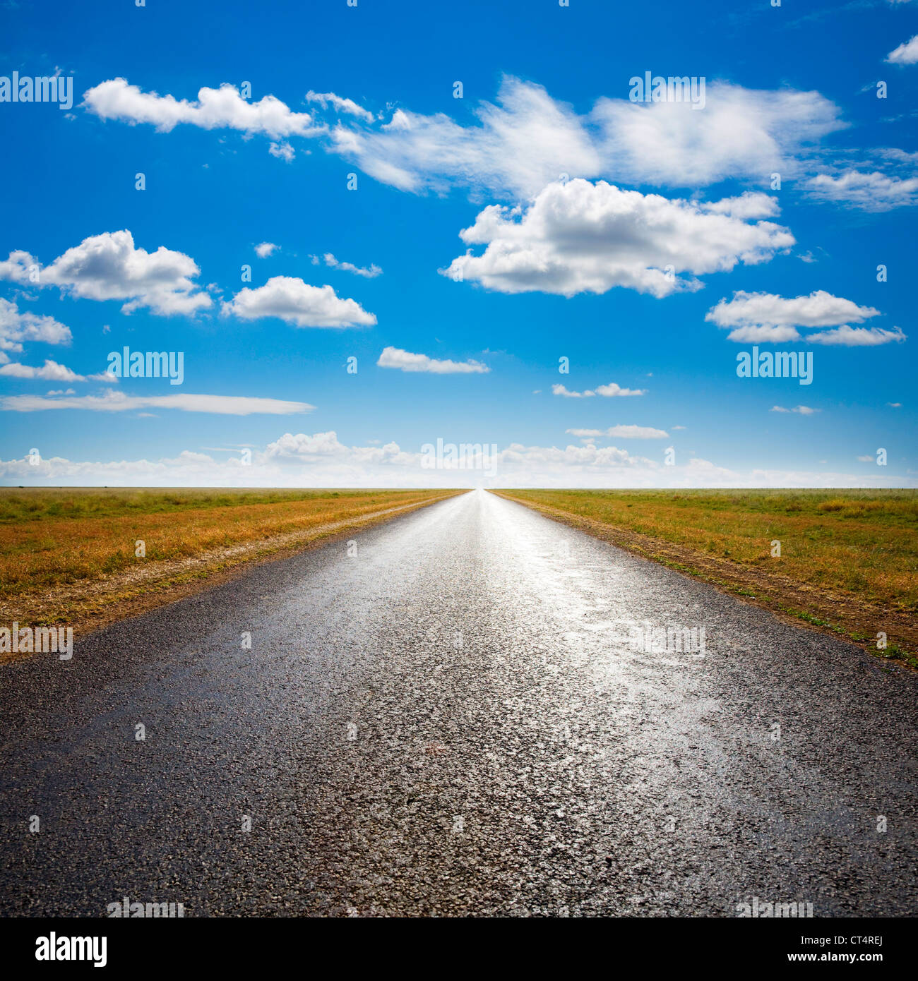 Long straight desert road to flat horizon, with light streaming from ...