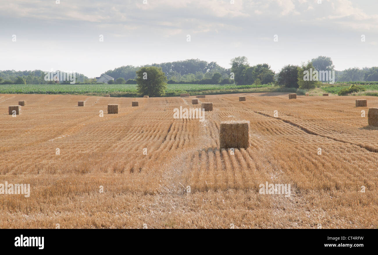 Baled hi-res stock photography and images - Alamy