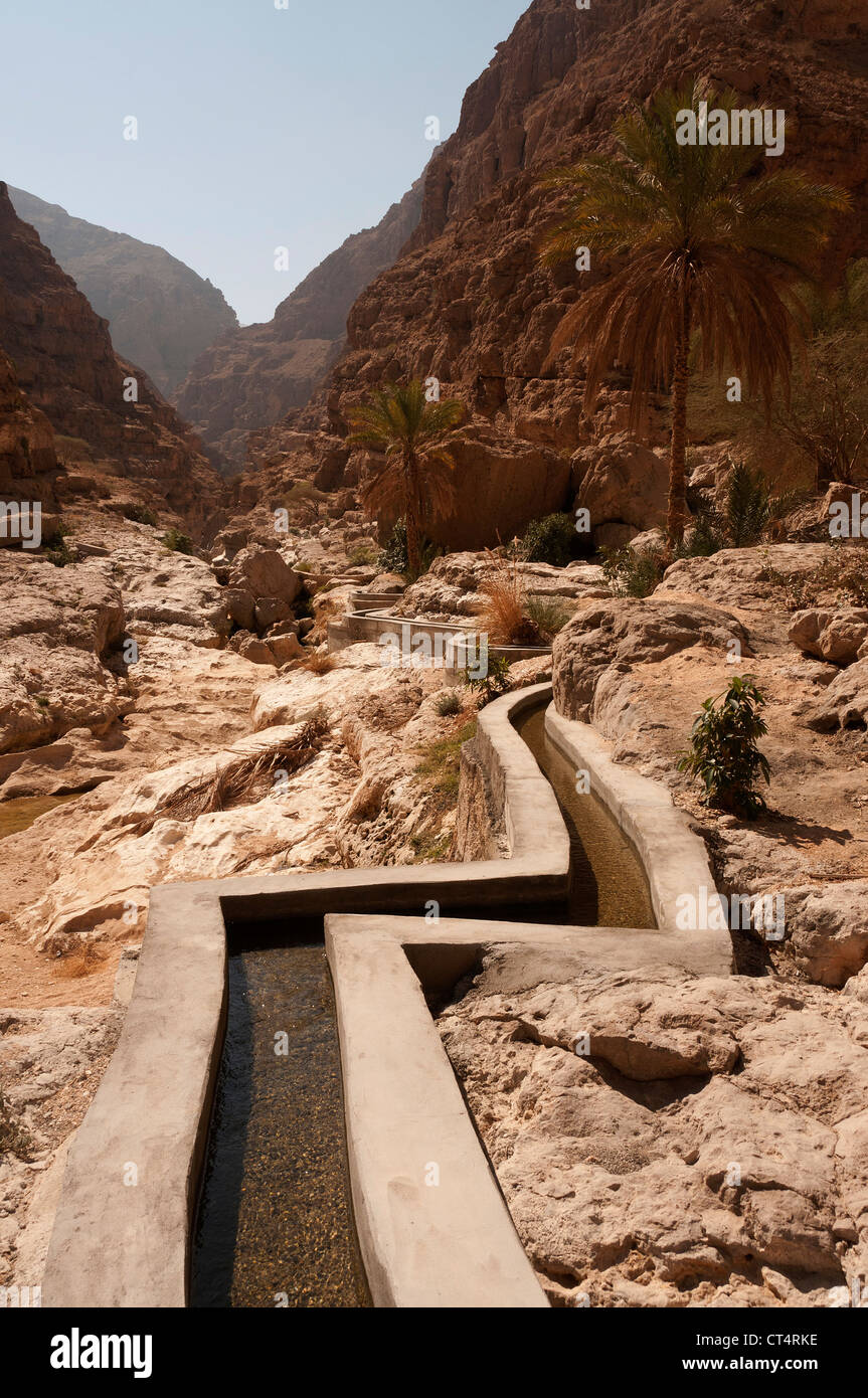 Elk207-2022v Oman, East coast, Wadi shab, canyon landscape, irrigation ...