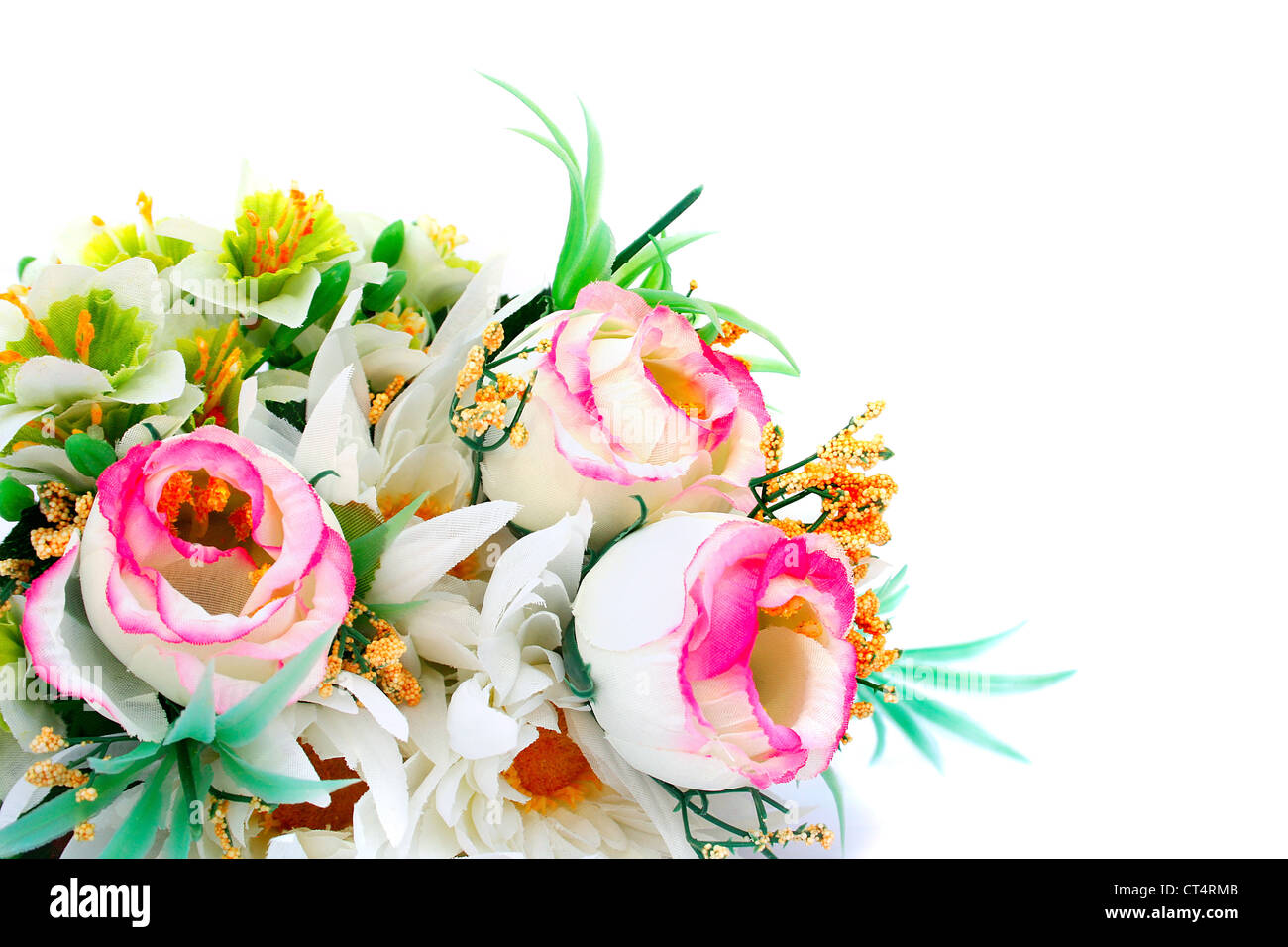 Colorful flowers isolated on white background Stock Photo - Alamy