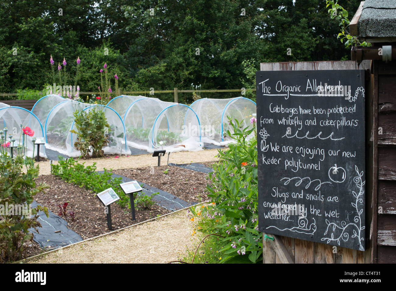 Ryton organic gardens hi-res stock photography and images - Alamy