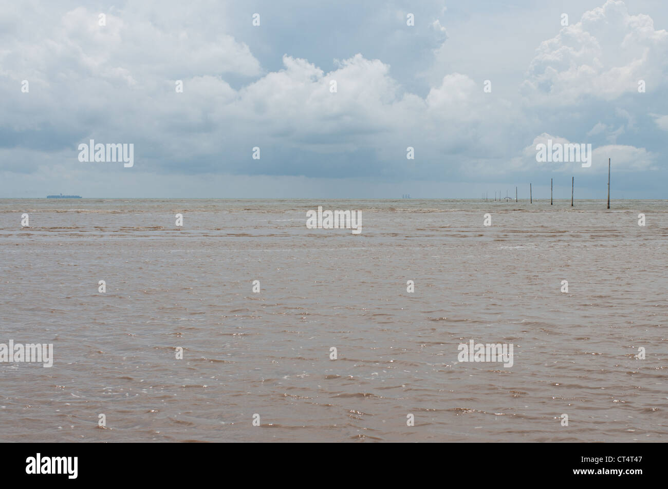 Open muddy sea with blue sky Stock Photo - Alamy