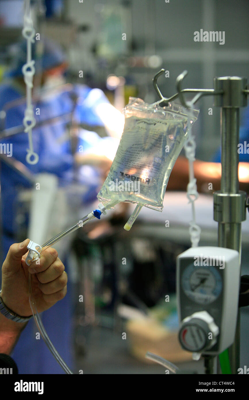 Mecenat hi-res stock photography and images - Alamy