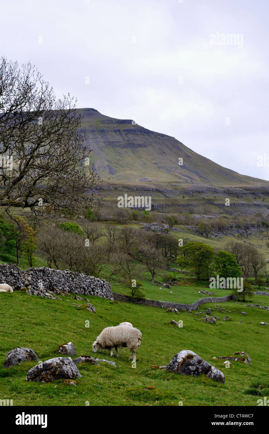Hamlet of chapel le dale hi-res stock photography and images - Alamy