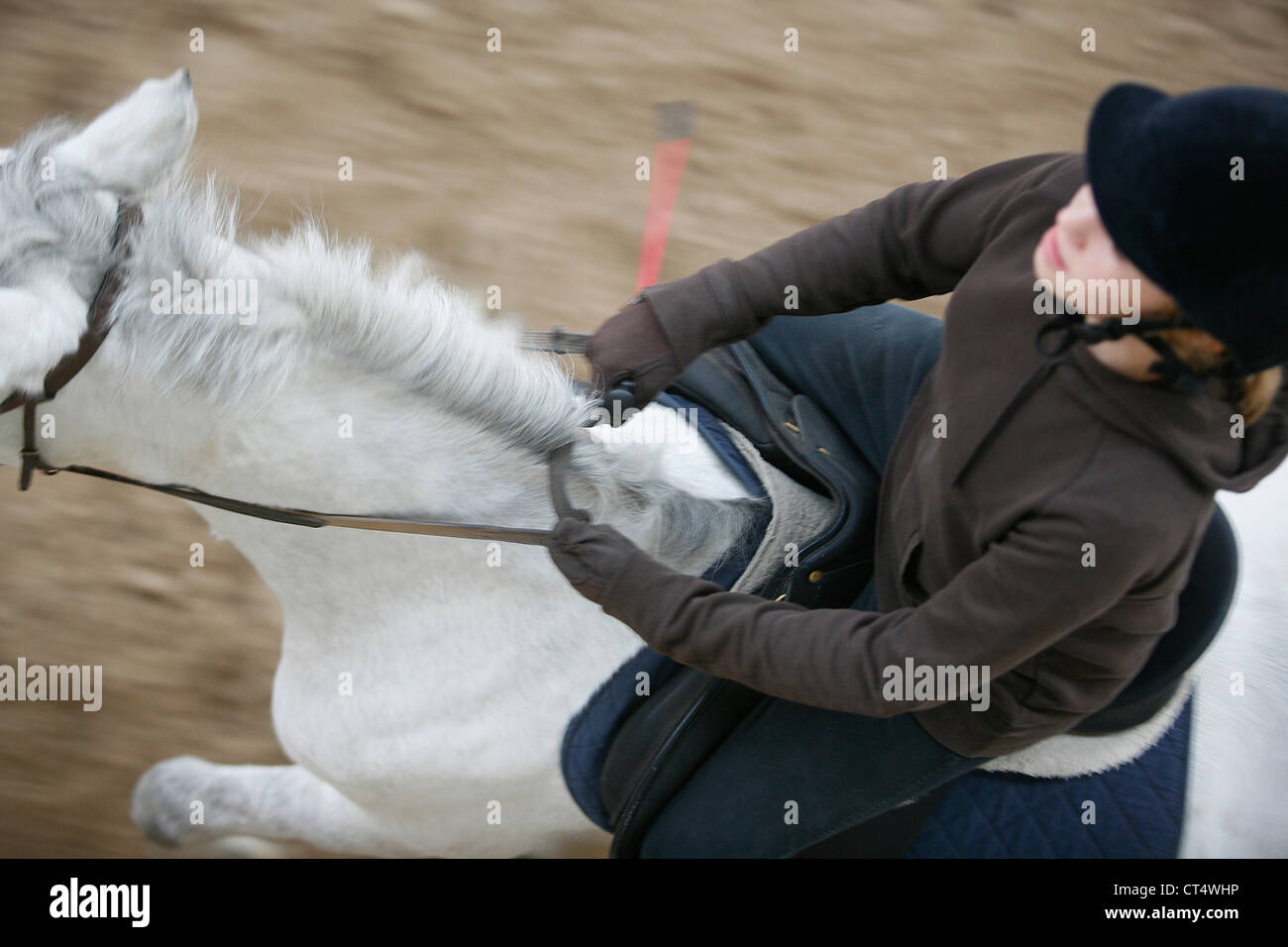 Easy riding horse hi-res stock photography and images - Alamy