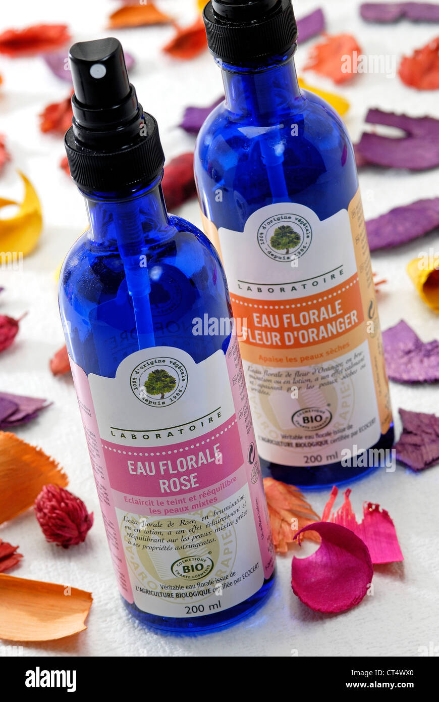 Floral still lifes hi-res stock photography and images - Alamy