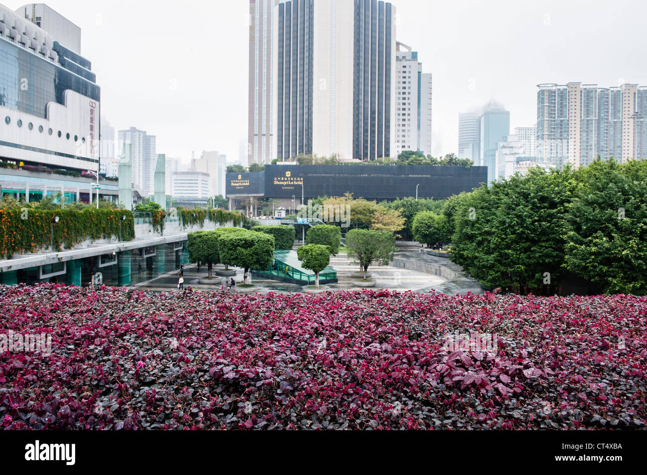Shenzhen Development Centre High Resolution Stock Photography and ...