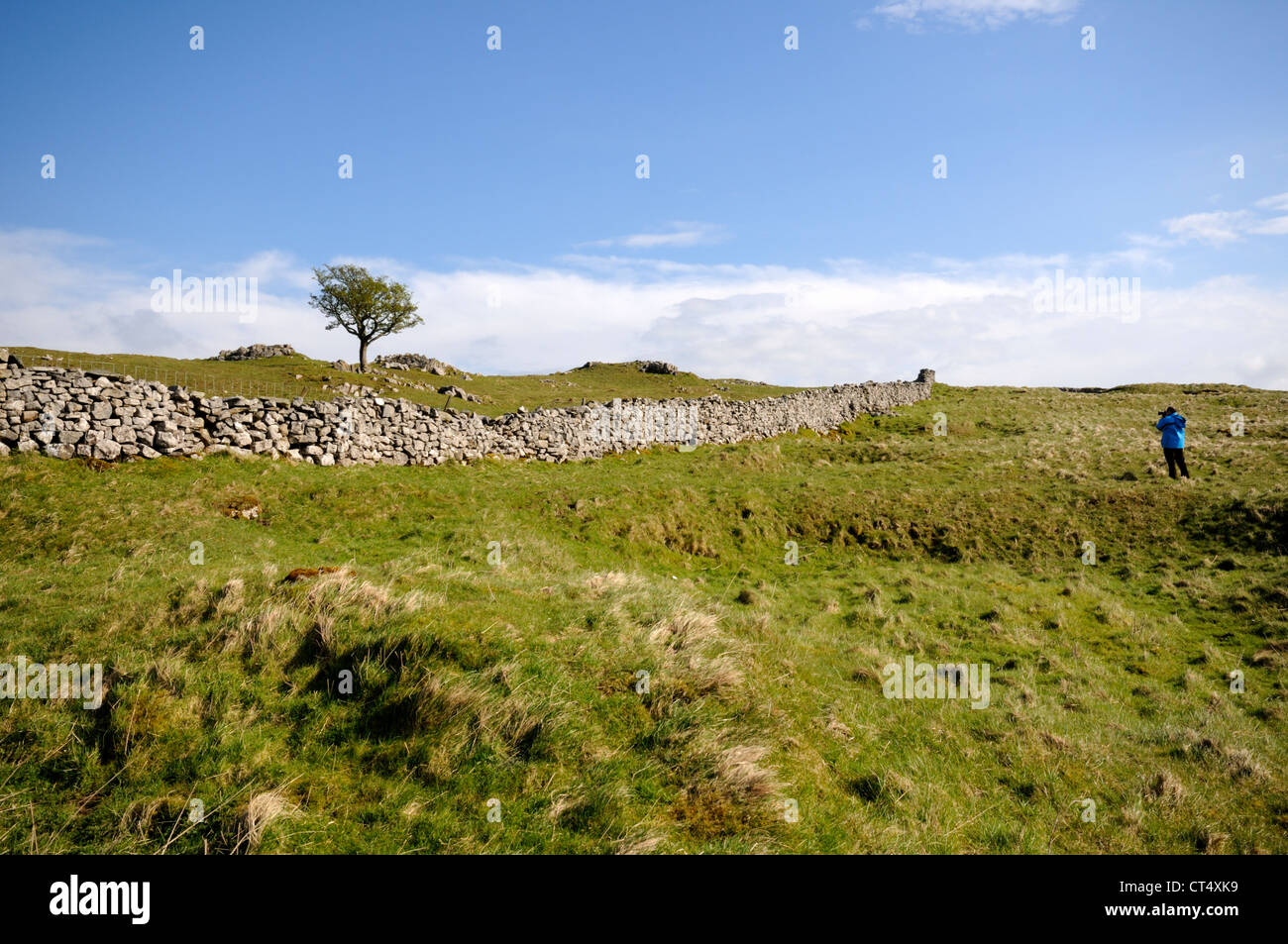 Photographer taking a picture of a Lone Tree at Chapel-le-Dale in ...