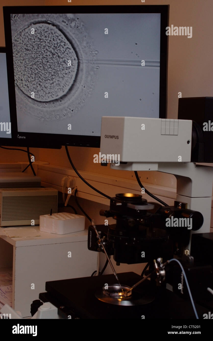 Icsi High Resolution Stock Photography and Images - Alamy