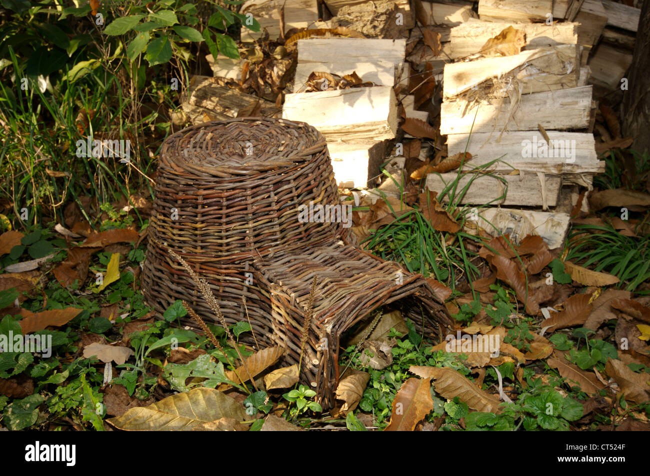 Animal shelter exterior hi-res stock photography and images - Alamy