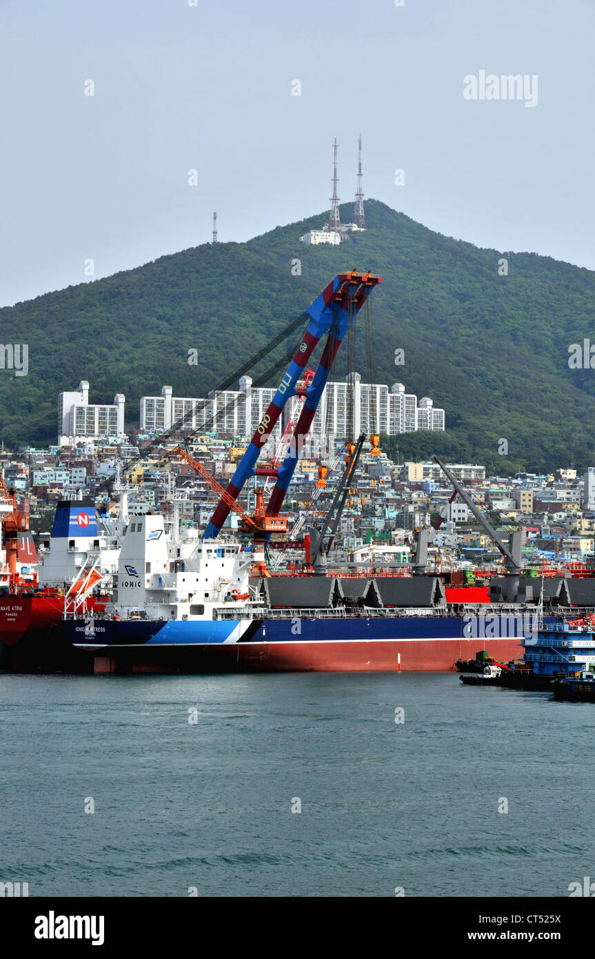 shipyard Busan South Korea Asia Stock Photo - Alamy