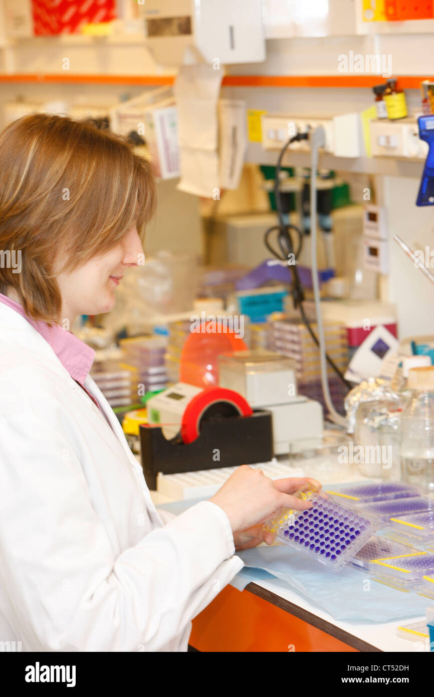 Cell culture assays hi-res stock photography and images - Alamy