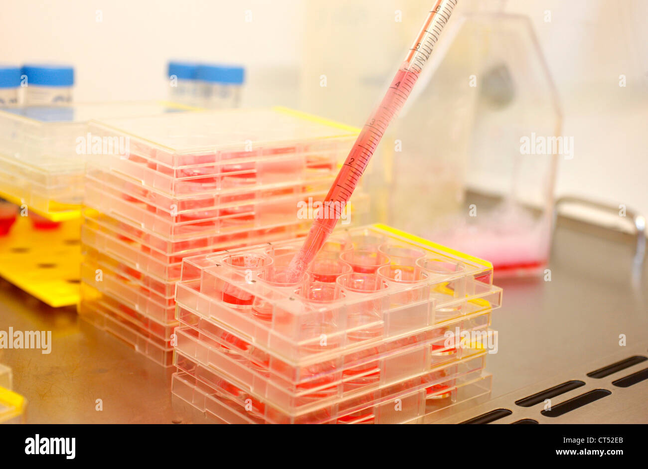 Cell culture hi-res stock photography and images - Alamy