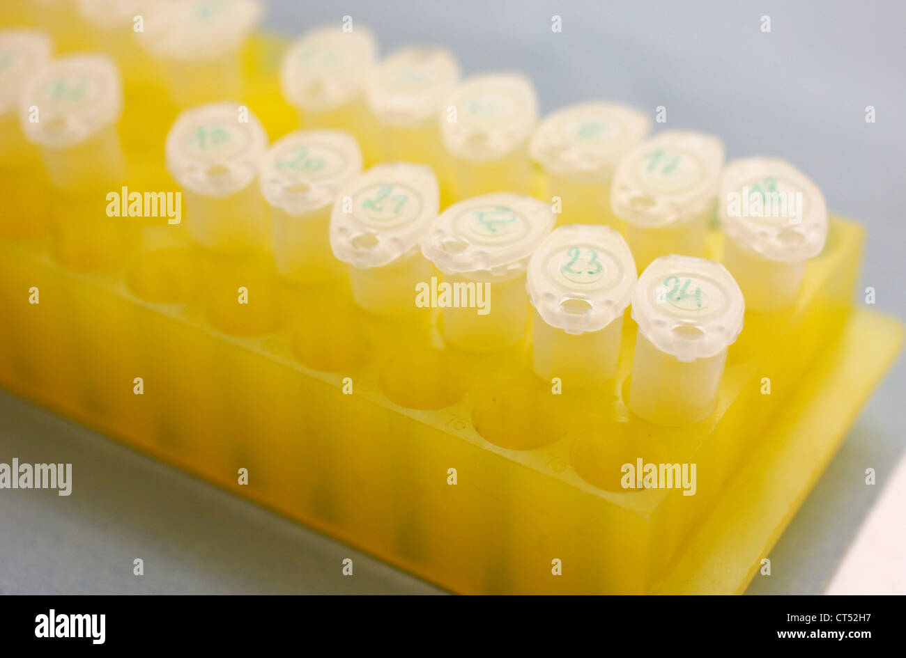 Experiment test tubes racks hi-res stock photography and images - Alamy