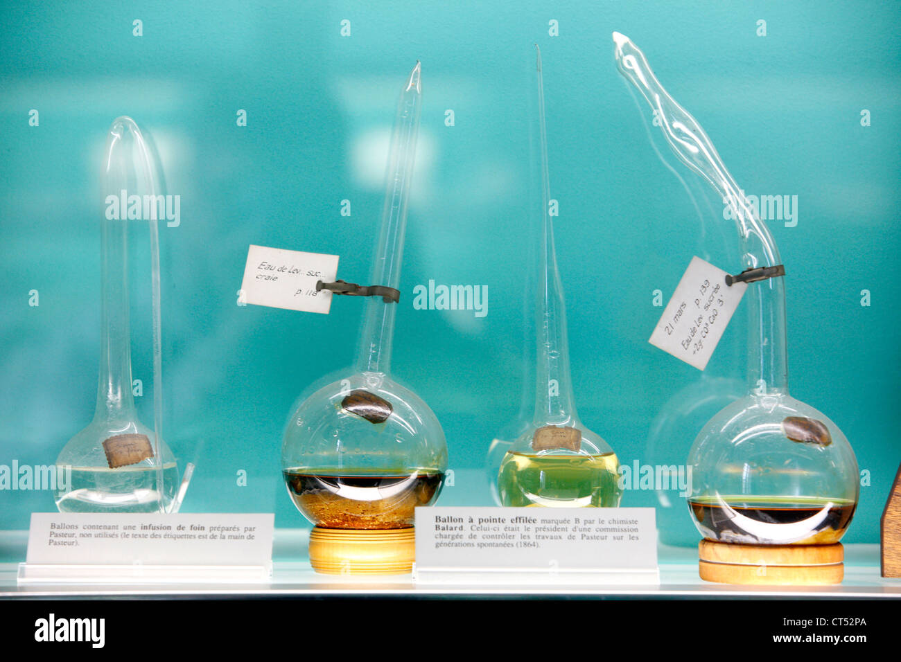 PASTEUR MUSEUM Stock Photo - Alamy