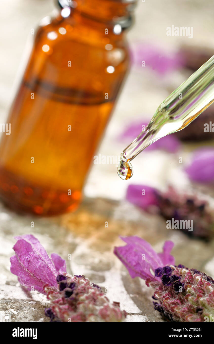 Lavender oil drops and plant hi-res stock photography and images - Alamy