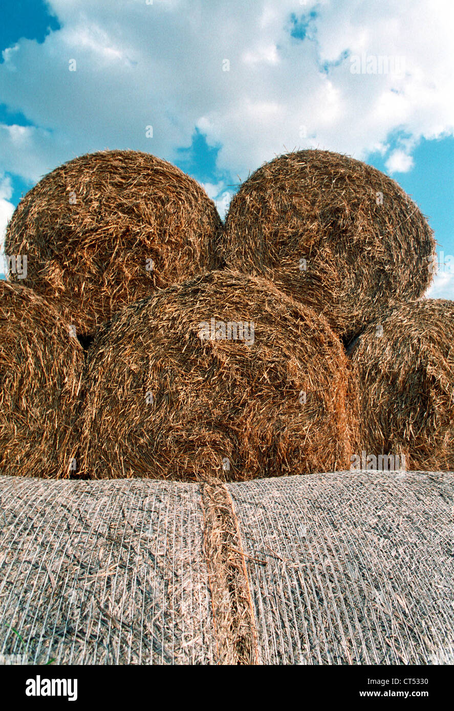 Black, bundled into bales of straw Stock Photo - Alamy