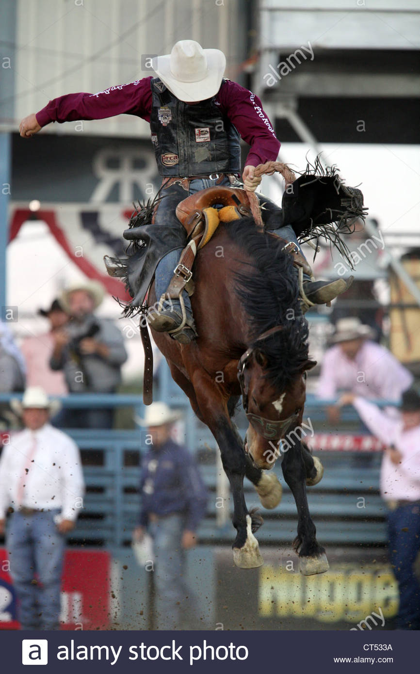 Bucking Bronco Stock Photos & Bucking Bronco Stock Images - Alamy