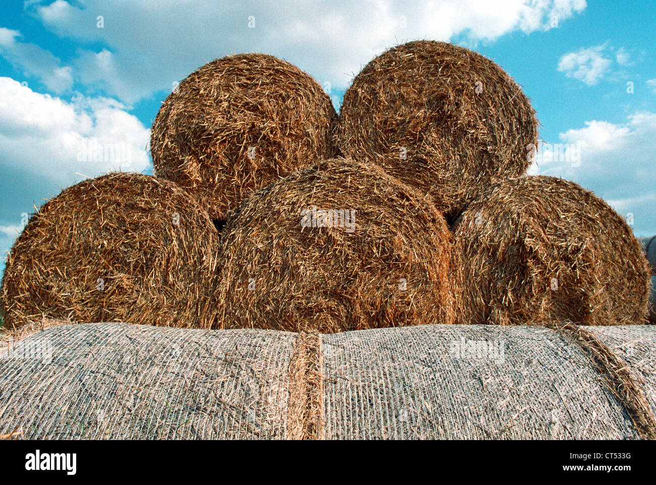 Black, bundled into bales of straw Stock Photo - Alamy