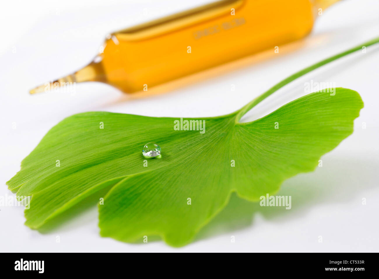 Ginkgo biloba drug hi-res stock photography and images - Alamy
