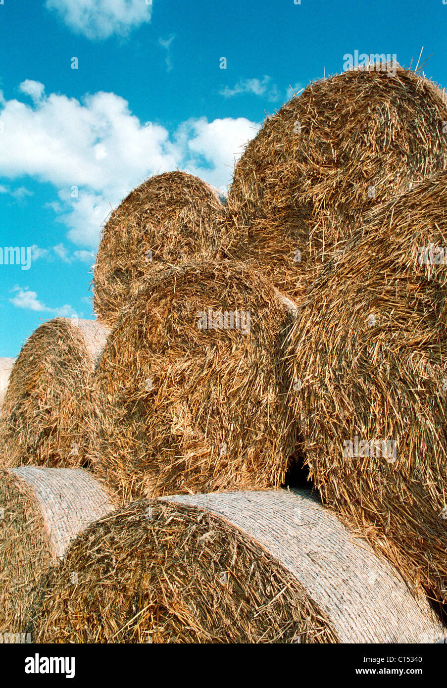 Black straw chairs hi-res stock photography and images - Alamy