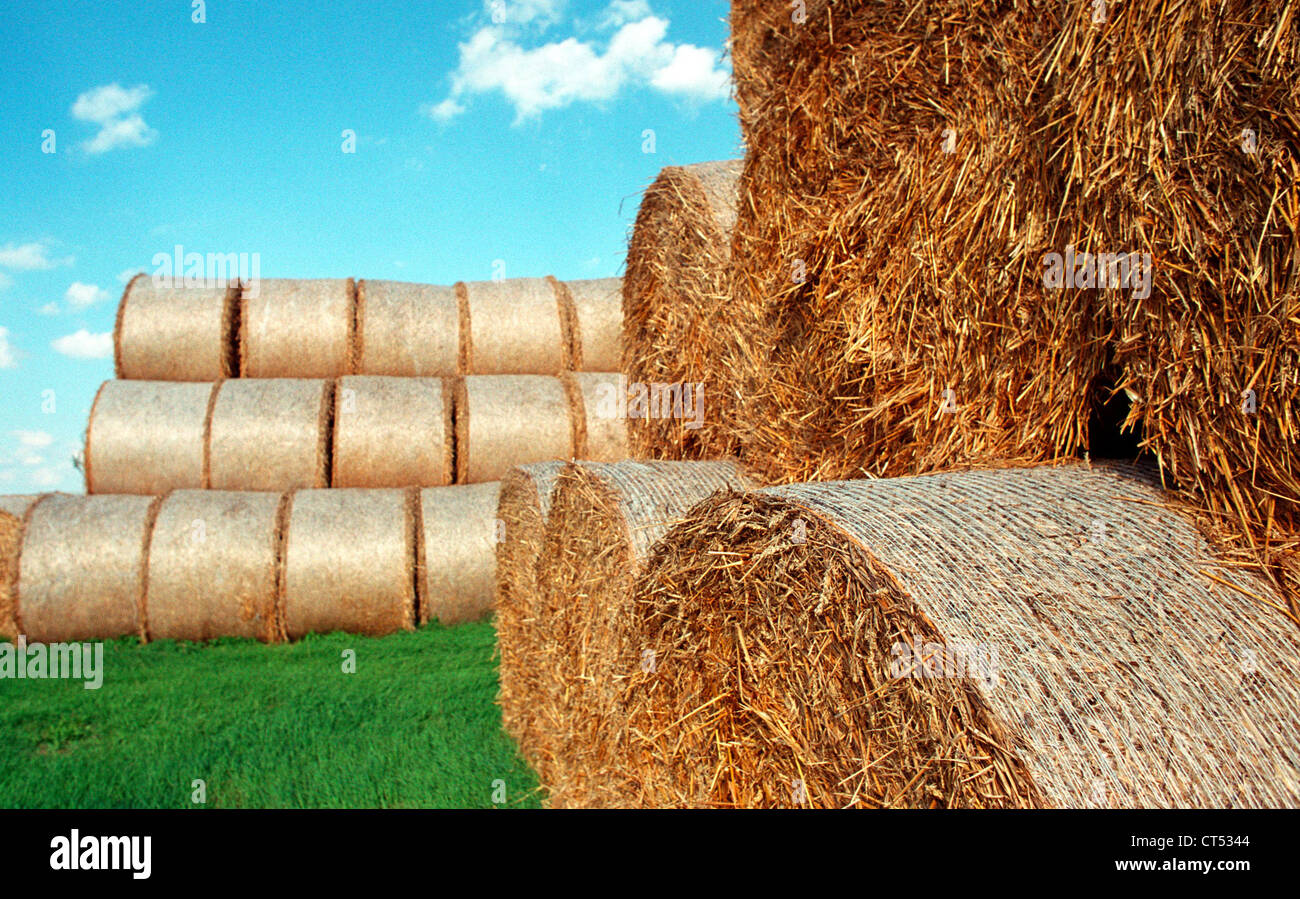 Bundled service hi-res stock photography and images - Alamy