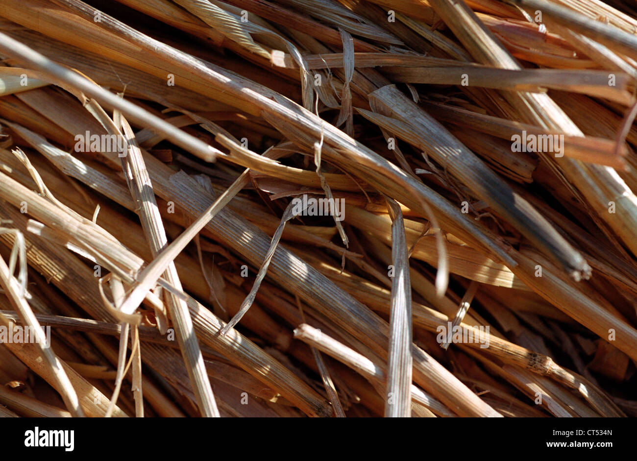 Black, dried straw Stock Photo - Alamy