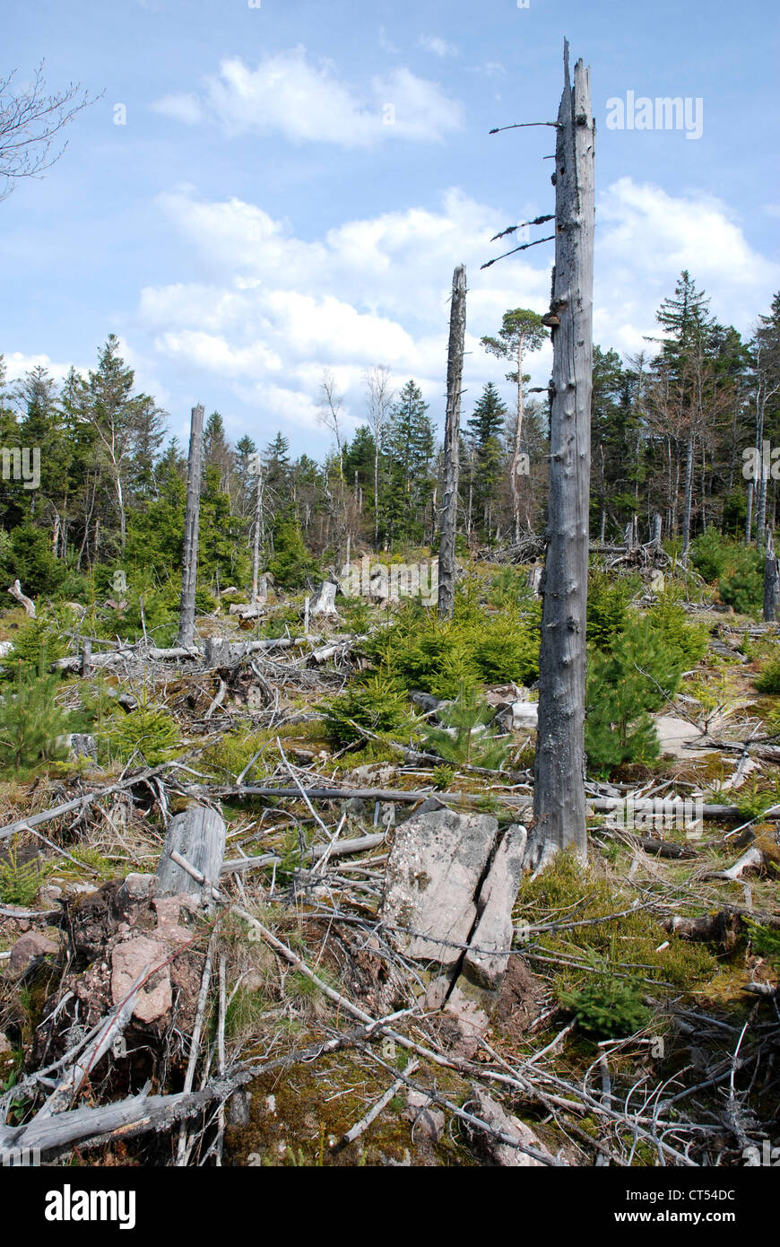 1999 storm hi-res stock photography and images - Alamy