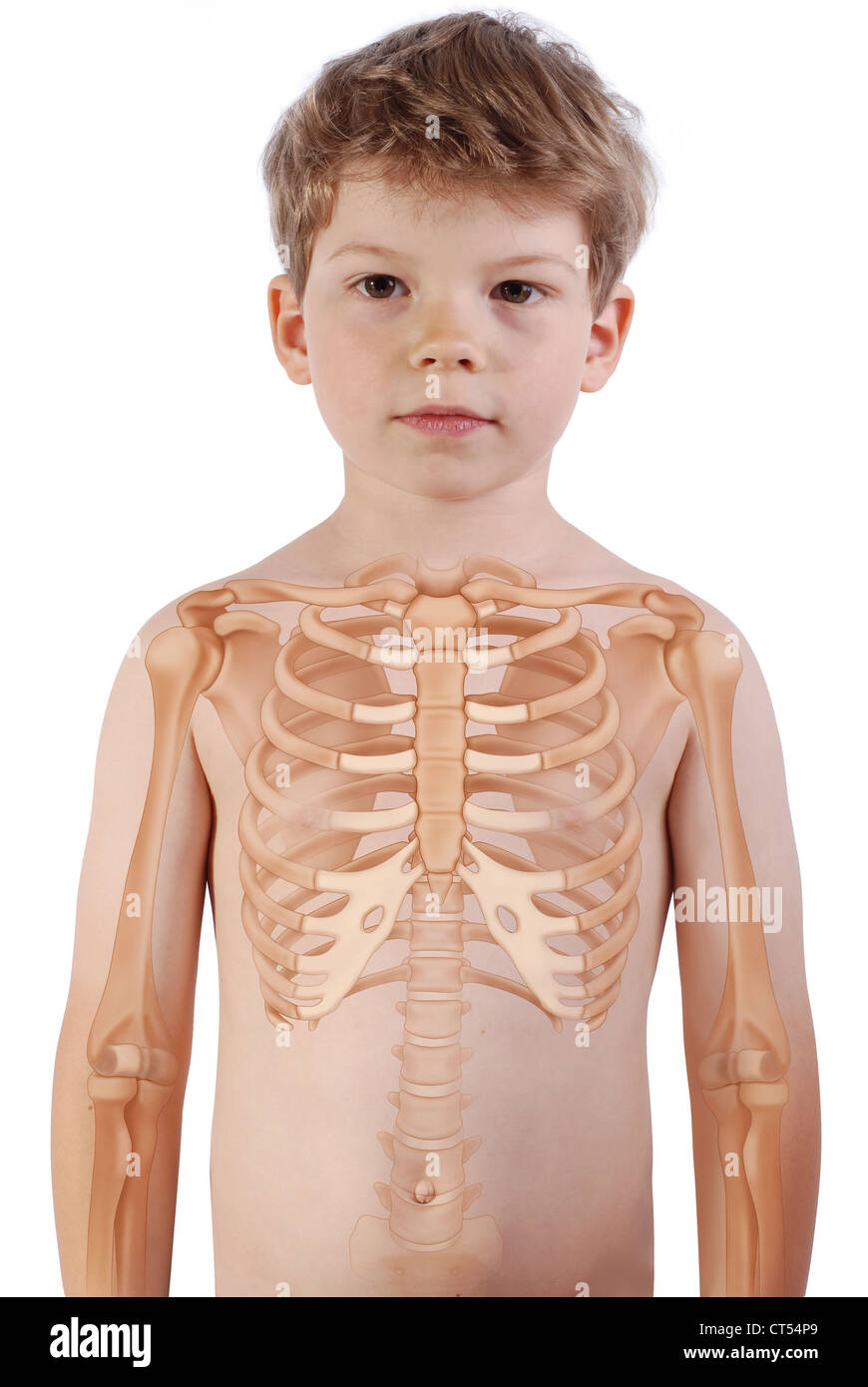 Bony Arm High Resolution Stock Photography and Images - Alamy