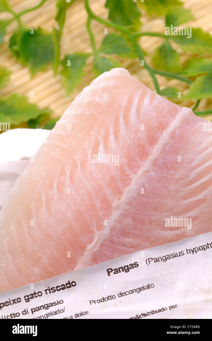 Fish labels hi-res stock photography and images - Alamy