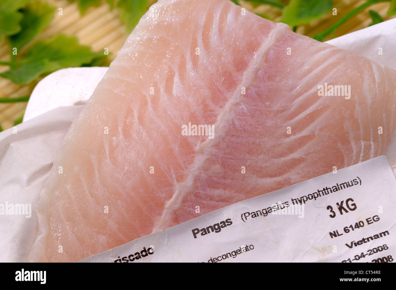 Panga fish hi-res stock photography and images - Alamy