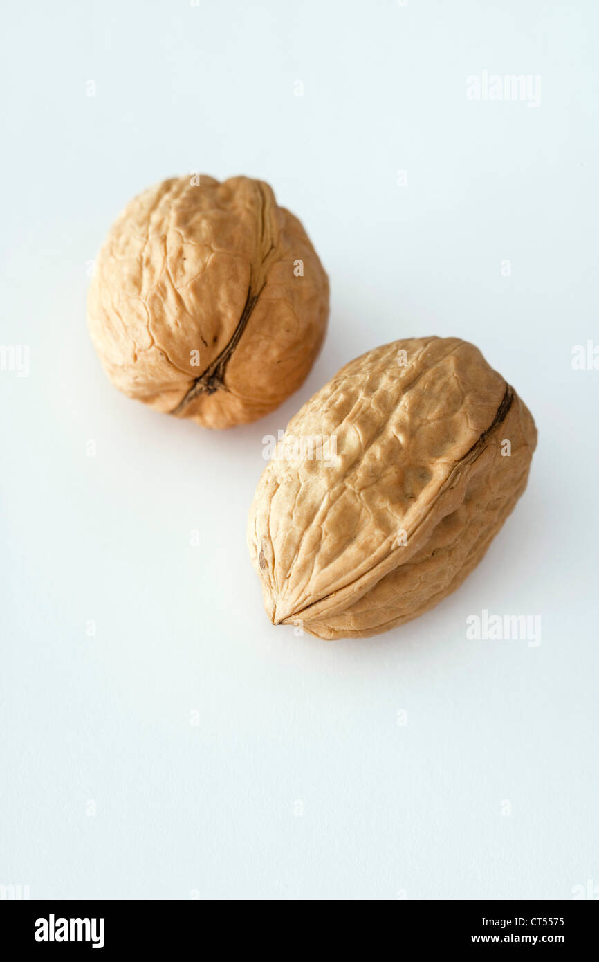 Walnut fruiting hi-res stock photography and images - Alamy