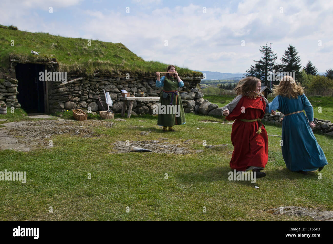 Viking houses hi-res stock photography and images - Alamy
