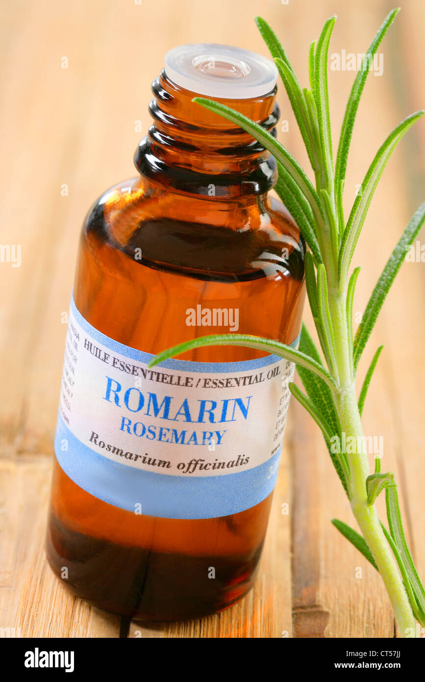 Rosmarinus oil officinalis essential hi-res stock photography and ...