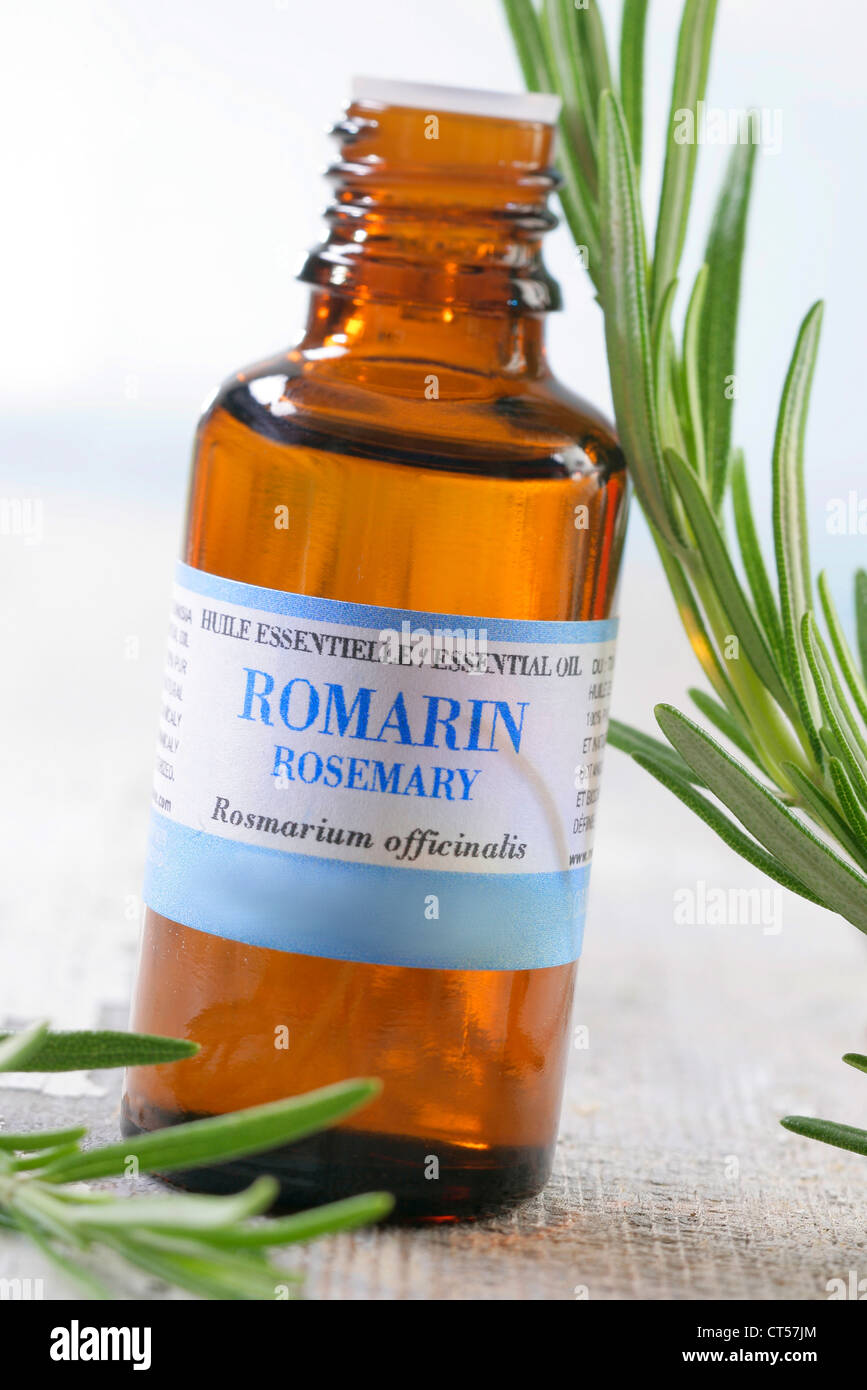 Rosmarinus oil essential hi-res stock photography and images - Alamy