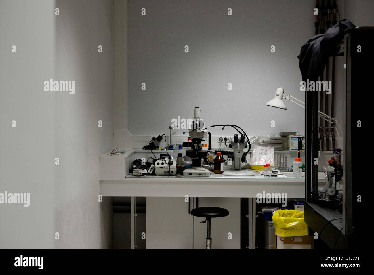 Visual biology hi-res stock photography and images - Alamy