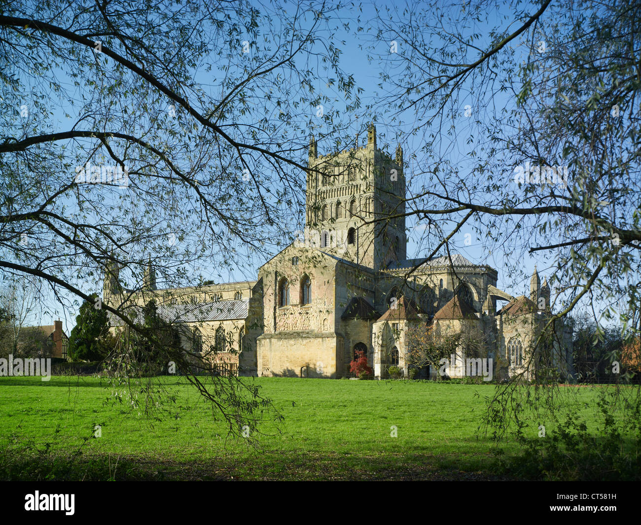 Tewkesbury Abbey from south with willow trees Stock Photo - Alamy