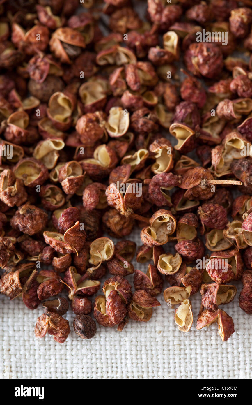 Zanthoxylum zanthoxylum sp hi-res stock photography and images - Alamy