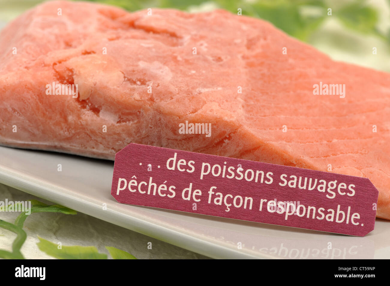 Fatty fish hi-res stock photography and images - Alamy