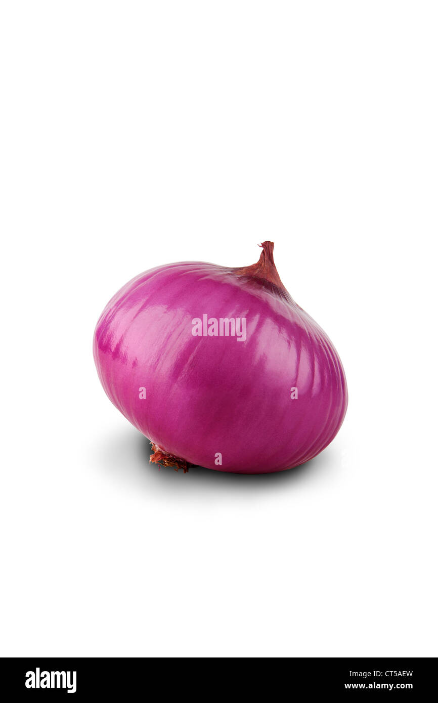 Isolate bulb hi-res stock photography and images - Alamy