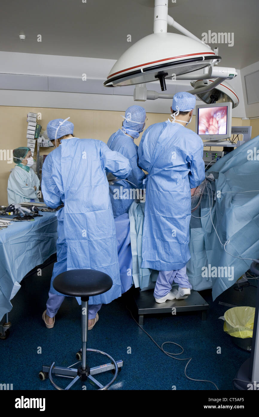 Gastric endoscopic view hi-res stock photography and images - Alamy