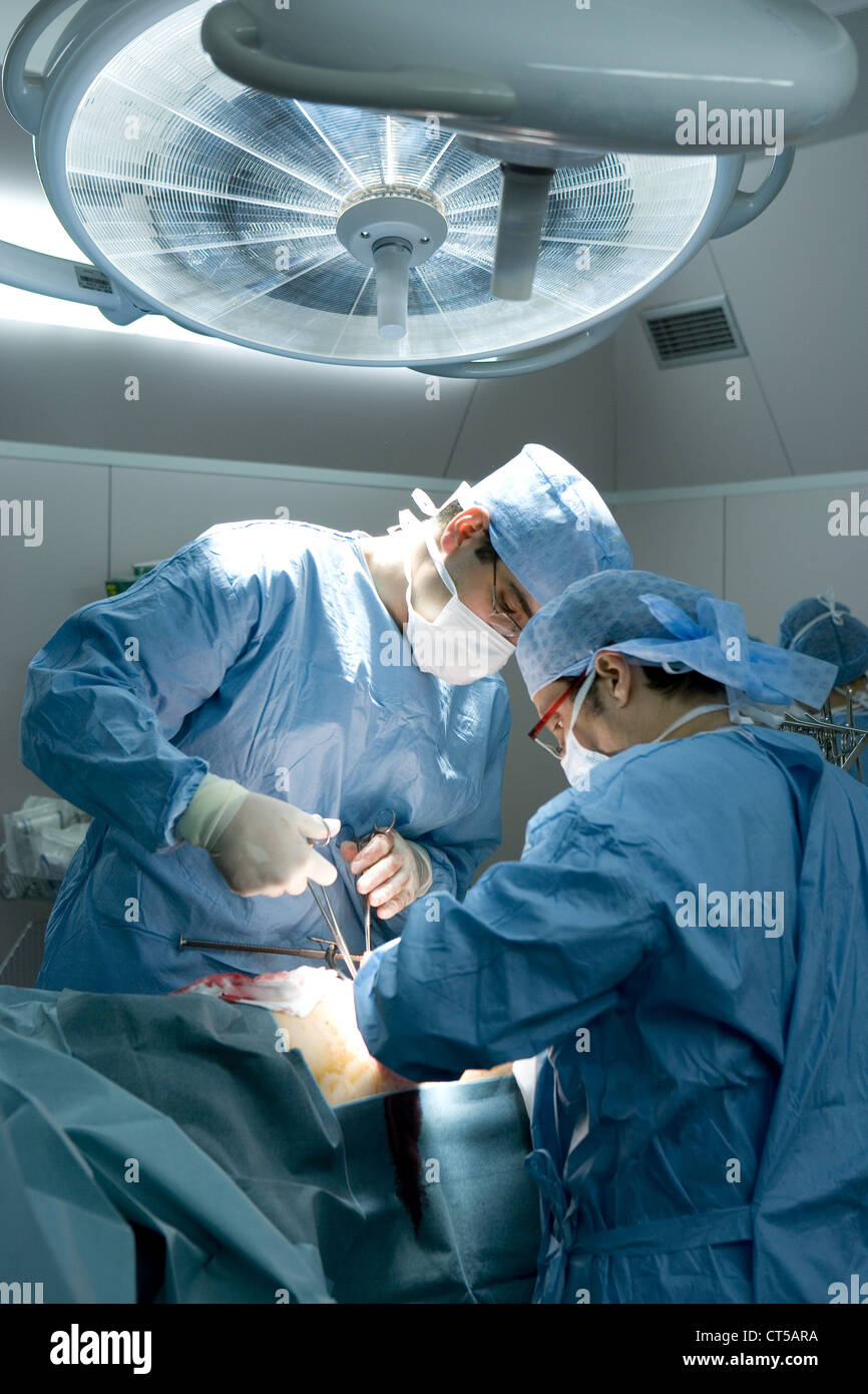 Kidney removal hi-res stock photography and images - Alamy
