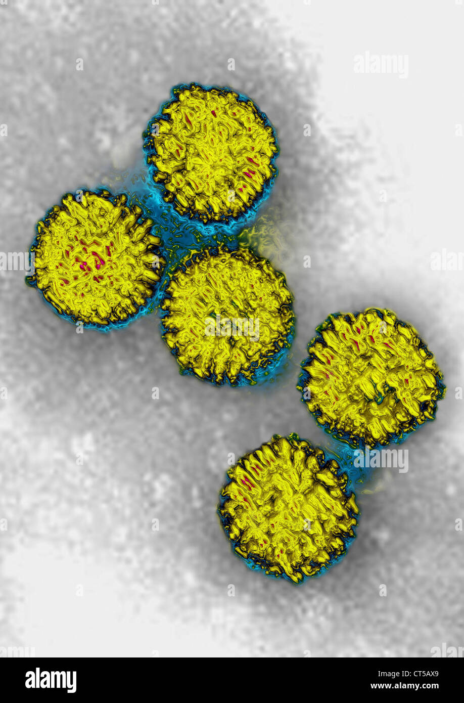 Rotavirus hi-res stock photography and images - Alamy