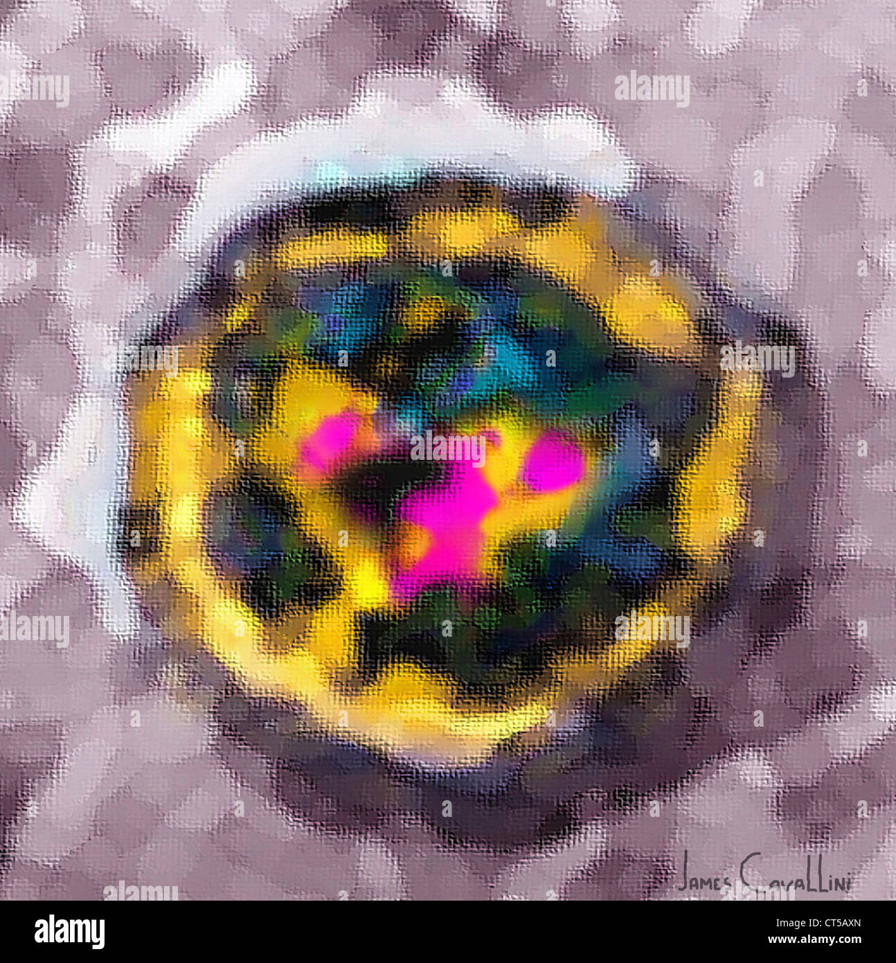 Polio virus microscope hi-res stock photography and images - Alamy