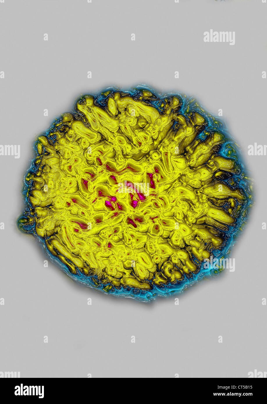 Rotavirus High Resolution Stock Photography and Images - Alamy